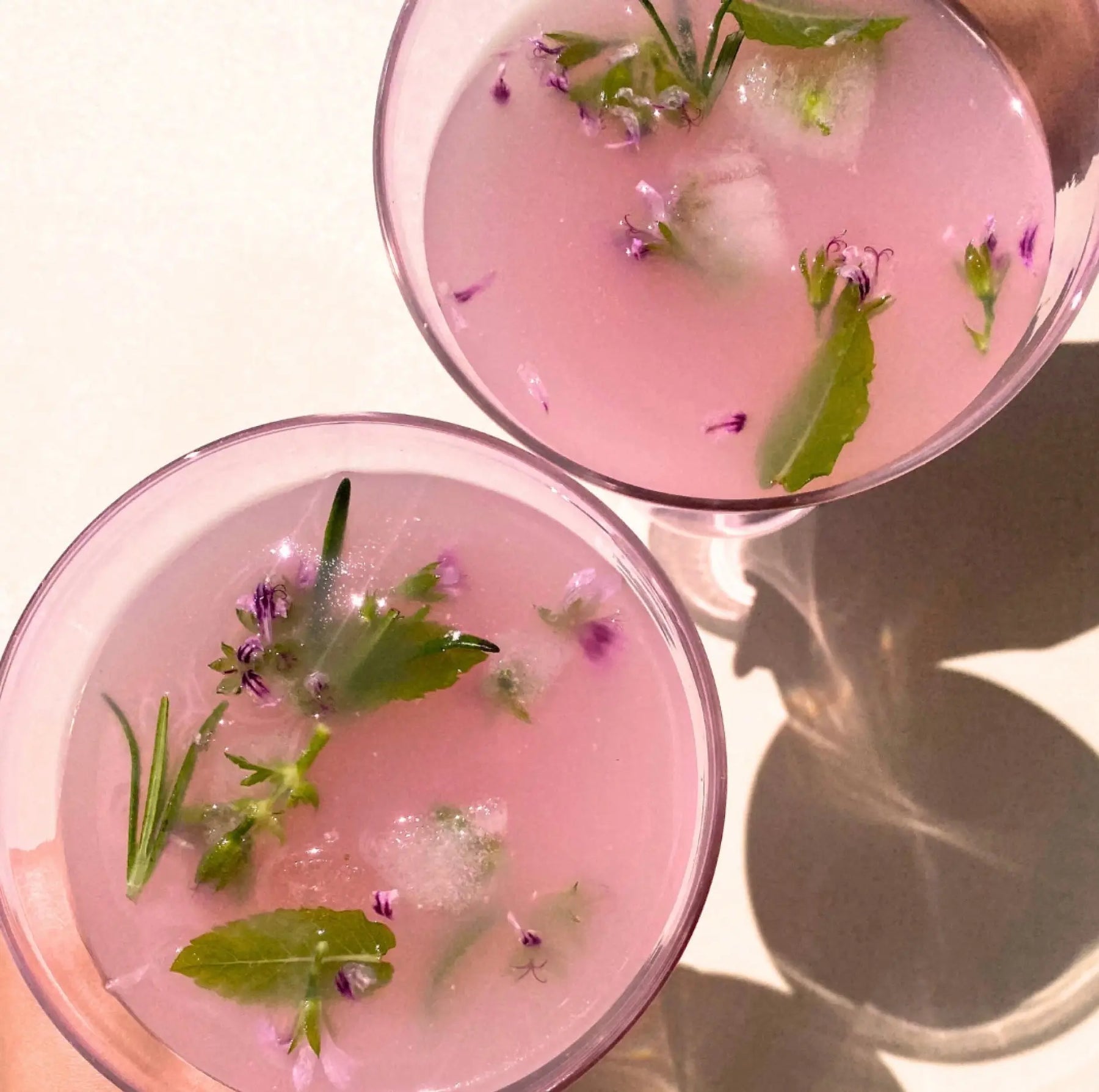 Boissons fonctionnelles & irrésistibles | JANE